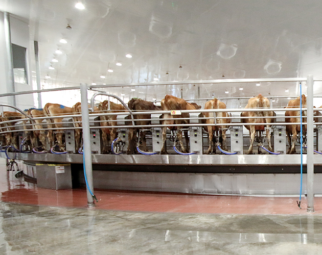 Conewango Dairy Rubberware - Our Legacy, Your Future.